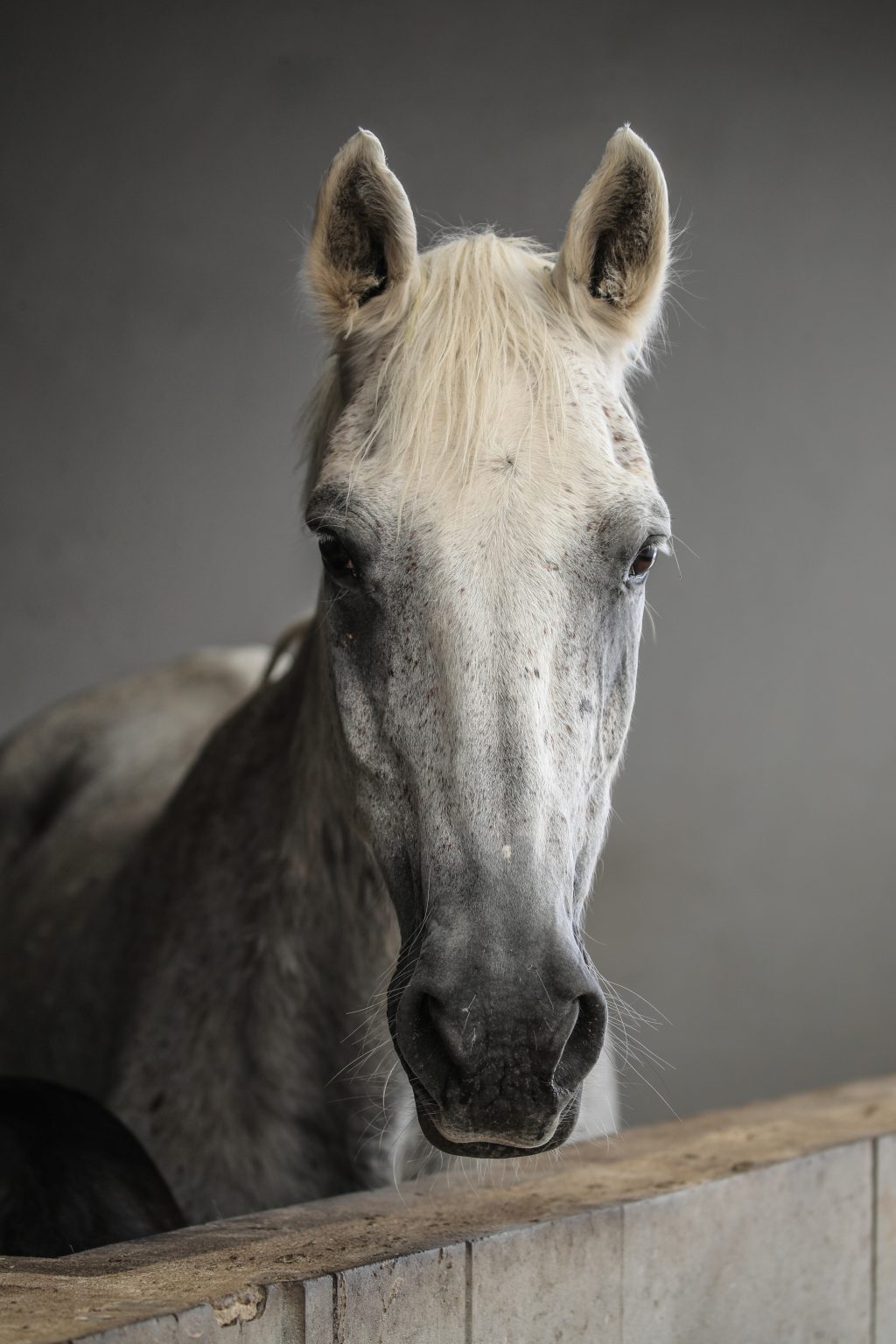 Babiččin statek – Šťastný domov Líšnice, z.ú.