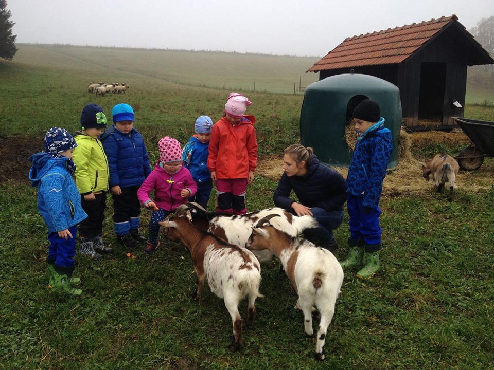 Babiččin statek – Šťastný domov